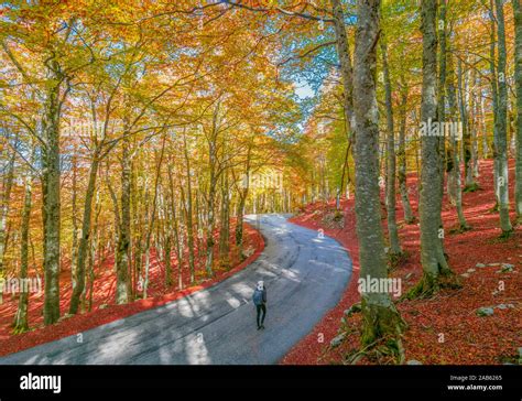 National Park Of Abruzzo Lazio And Molise Italy The Autumn With