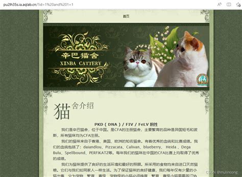 Sql注入实战：从猜语句到获取敏感信息 Csdn博客