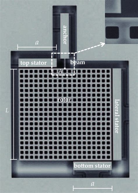 Sem Picture Of The On Chip Testing Device With A Close Up Of The Download Scientific Diagram