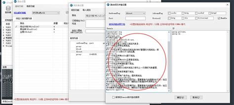 [bug] 路由设置 预定义规则集 详情设置，面板内容过多（无提示）引发日志报错 · Issue 2826 · 2dust V2rayn