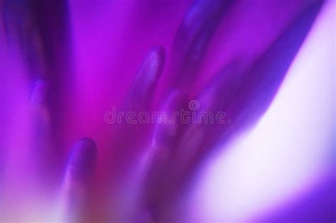 Colorful Flower Background Abstract With Waves Soft Background Stock Illustration