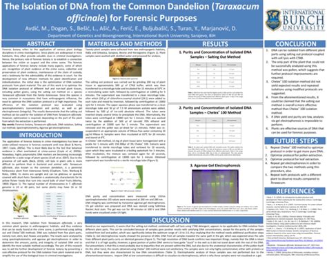 Pdf Isolation Of Dna From Taraxacum Officinale For Forensic Botany