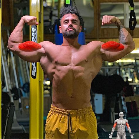 فیتنس با محمد حسین پور سایت مربی بین المللی محمد حسین پور