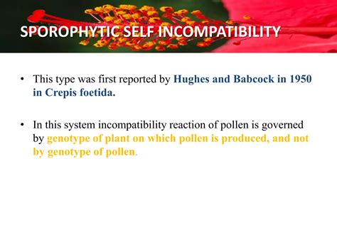 Self Incompatibility Barriers Pptx Gardening Home And Garden