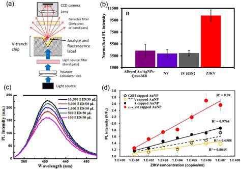 a schematic diagram of an optical system of a v trench biosensor to download scientific