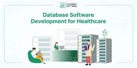 custom database software development for healthcare cleverdev software