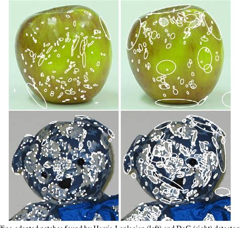 Figure 2 From 3 D Object Modeling And Recognition Using Local Affine