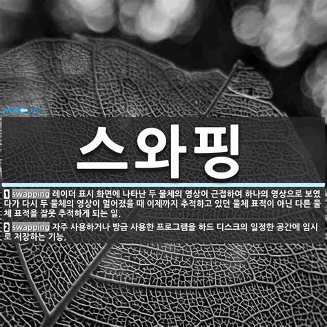스와핑 뜻