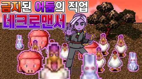 나쁜 짓을 해야만 전직할 수 있는 어둠의 직업 네크로맨서가 되어보자 일랜시아 네크로맨서 육성 Youtube