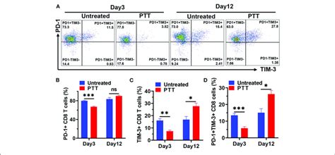 A Representative Flow Cytometric Plots Showing Pd 1 And Tim 3 Download Scientific Diagram