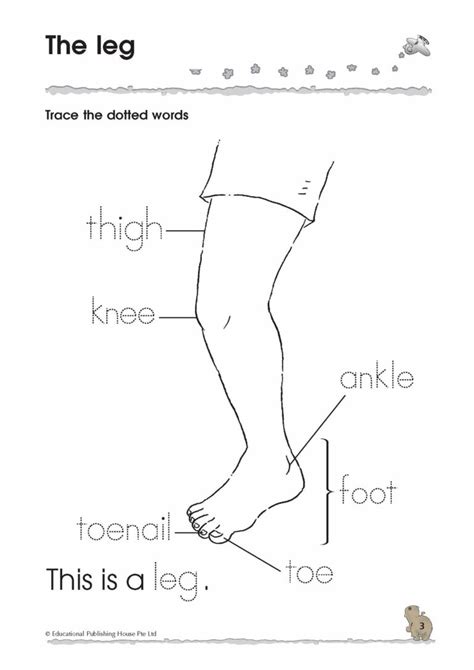 Kindergarten Series English Eph