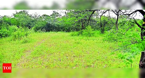 Quality Of Life Survivor Helps Cops Recreate Sex Assault Sequence At