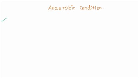 A Cell Might Perform Anaerobic Respiration For Which Of The Following