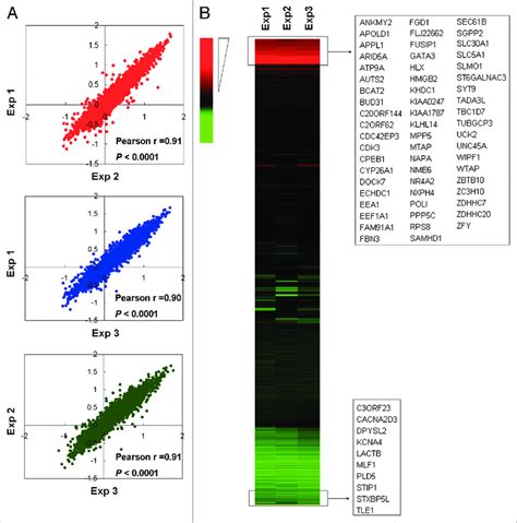 Detection Of Hyper And Hypomethylation Dna Sites By The Mca Cpg Island