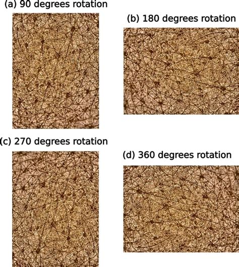 Human Skin Type Classification Using Image Processing And Deep Learning