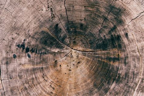Building Resilient Distributed Storage Systems The Power Of Logging