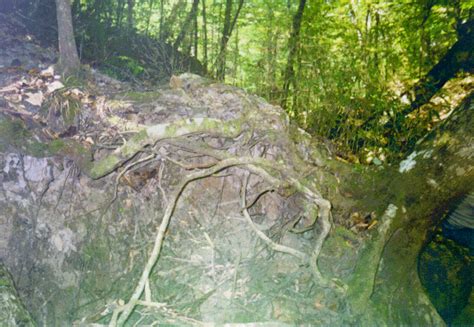 Untitled Document Geol Lsu Edu