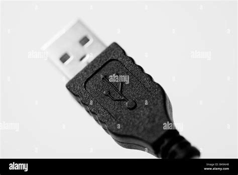Computer USB Cable Stock Photo Alamy