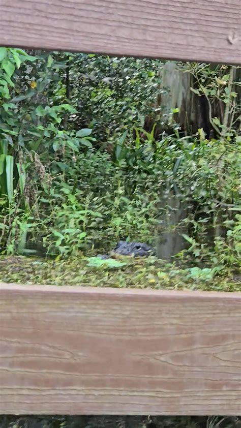 Gpt 5 Limits Chatgpt Plus Users Revolt Over Usage Caps Archyde