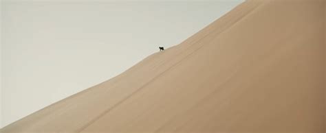 The Architecture Of Dune Leveraging The Past To Create A Myth Of The