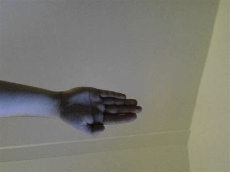 Poor Performance With Good Trainingvalidation Results · Issue 11546