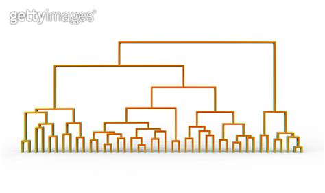 Dendrogram A Diagram Representing A Tree Used To Demonstrate Results Of Hierarchical Clustering