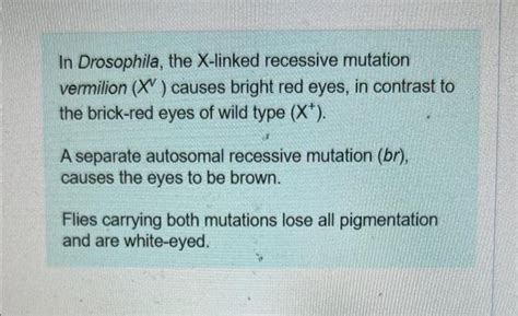 solved in drosophila the x linked recessive mutation