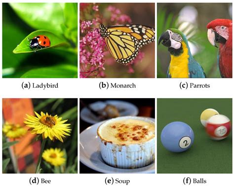 Efficient Edge Detection Method For Focused Images