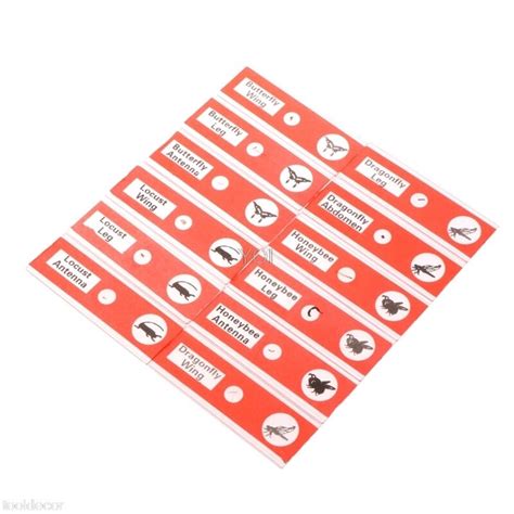 12 Pcs Prepared Microscope Slides Set Specimen For Vicedeal