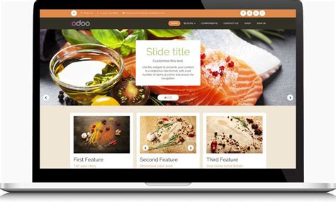 Modulo Crear Pagina Web En Odoo