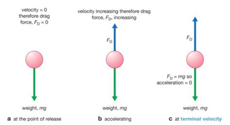 1 21 Describe The Forces Acting On Falling Objects Explain Why Falling