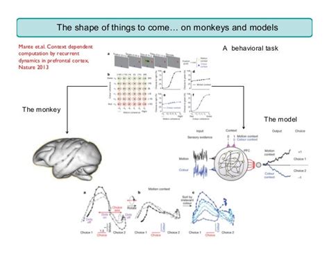 Theoretical Neuroscience And Deep Learning Theory