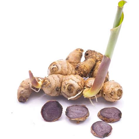 A Grade Black Ginger 20 Kg At Rs 2000 Kg In Samalkha Id 2853688342855