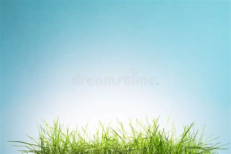 Blue Sky With Green Grass In The Foreground Stock Image Image Of Simplicity Sunny 270194855