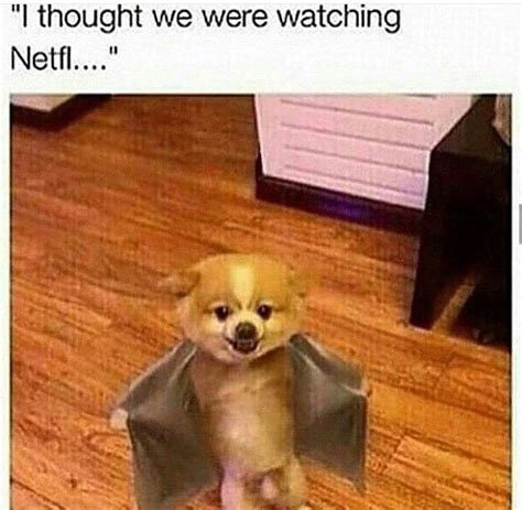25 Funny Pics That Ll Help You Avoid Losing Your Cool