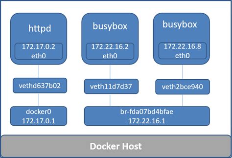 docker 网络 star hitian 博客园