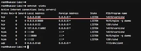 How To Install Varnish Reverse Proxy With Nginx On Ubuntu LTS