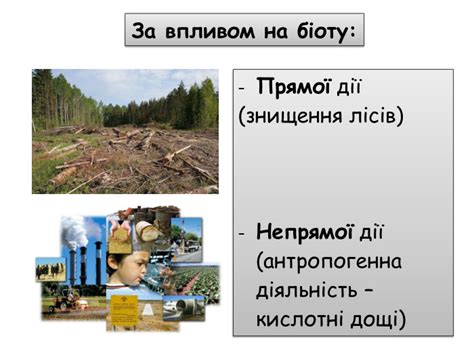 Види забруднення та їхні наслідки для природних штучних екосистем та людини