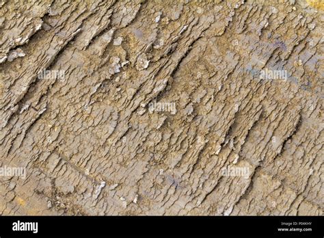 Beautiful Colored Full Frame Abstract Fissured Soil Structure Stock