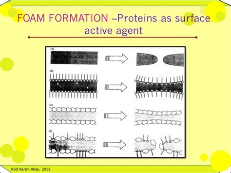 Foam