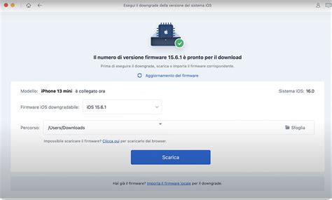 come eseguire il downgrade di ios ipados con tenorshare reiboot [tutorial]