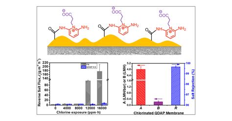In Situ Surface Modification Of Thin Film Composite Polyamide Membrane