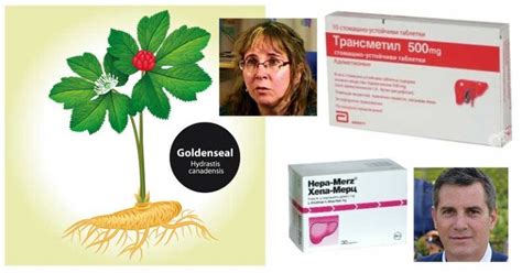 Всичко за Билки за черен дроб