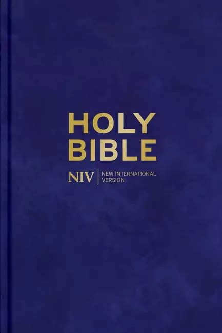 Niv Larger Print Personal Velvet Bible Free Delivery At Uk