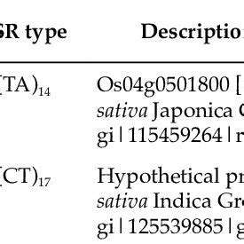 Six Simple Sequence Repeats SSR Markers Aligned To Chromosomes And Download Scientific
