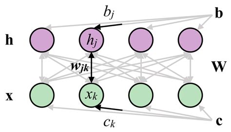 28 structure and elements of an rbm the nodes in the top layer