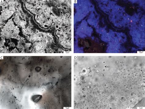 4 Textural Characteristics Of Banded Quartz Veins From Verde A