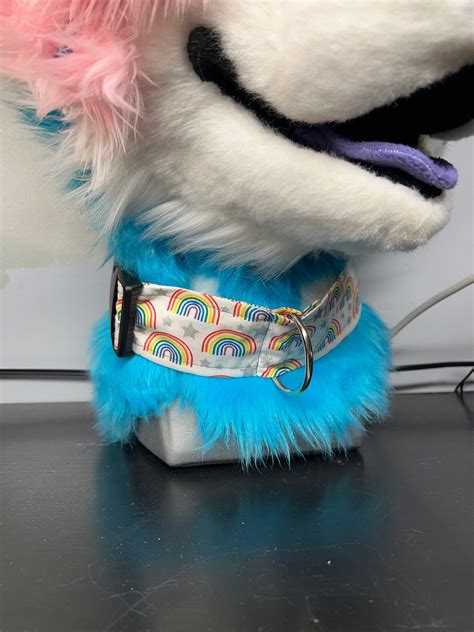 Fursuit Collar Rainbow Varieties Fursuit Not Included Etsy