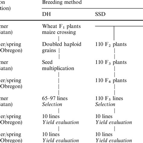 Production Of Spring Bread Wheat Lines From Three F Crosses By Doubled Download Table