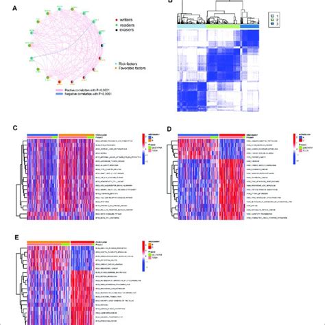 patterns of m6a methylation modification and biological download